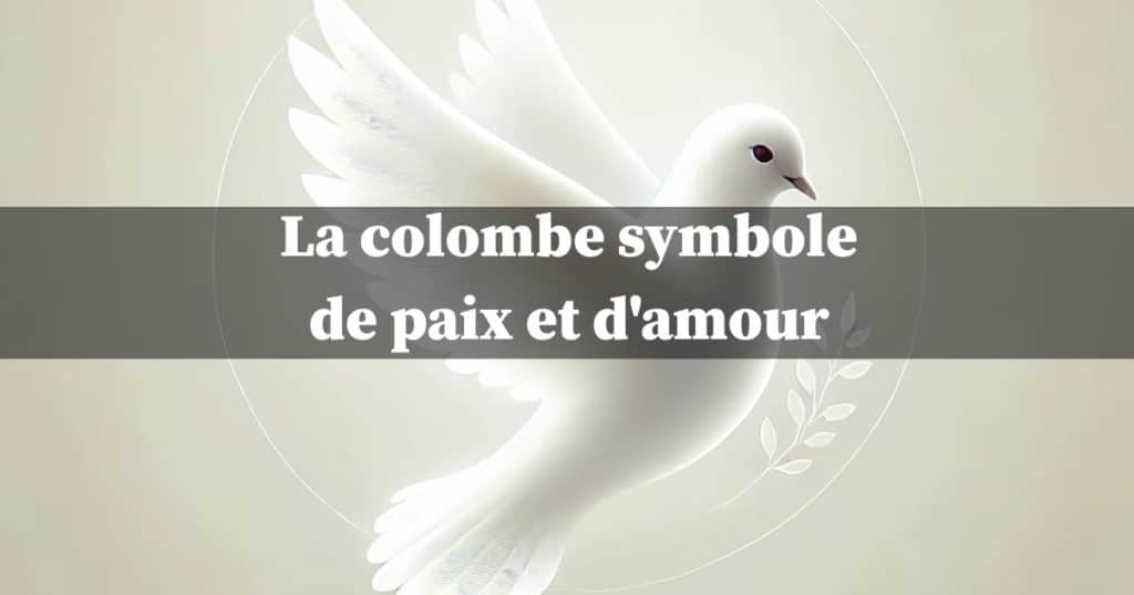 La colombe, animal symbole de paix et d'amour | Blog Animal