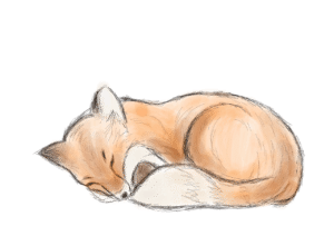 Les Secrets du Renard : Stratégies de Chasse et Symbolisme de la Ruse